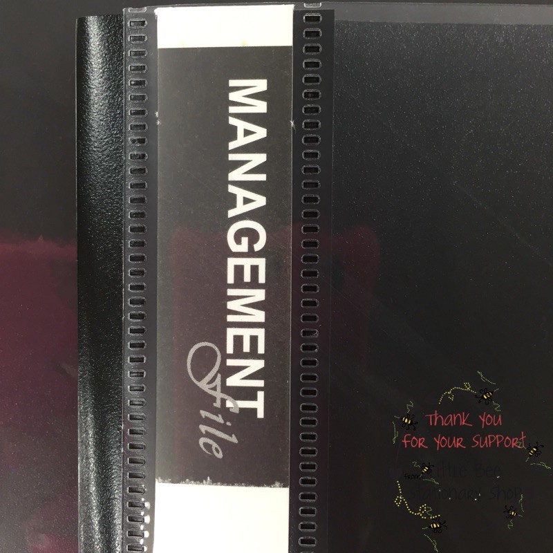 Lion Management File 807A (1pc) | Shopee Malaysia