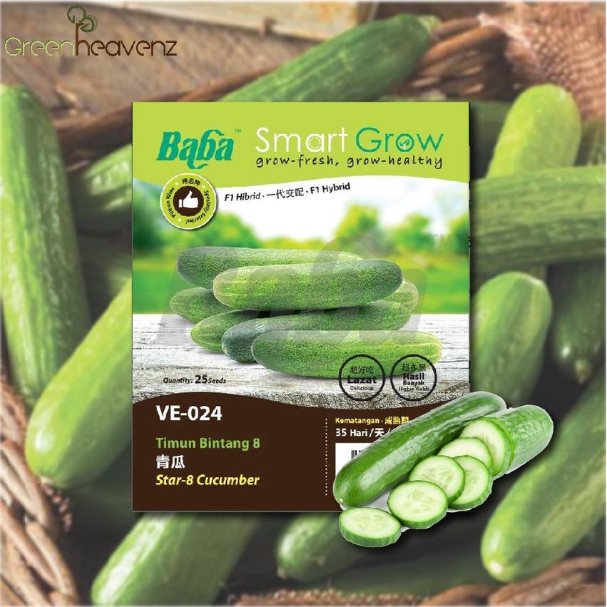 GHZ - Baba Smart Grow Seeds VE-024 Star-8 Cucumber (Timun Bintang 8 ...