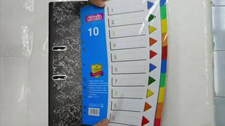KIDARIO A4 11 Holes PP Plastic Index Divider Suitable for Ring File ...