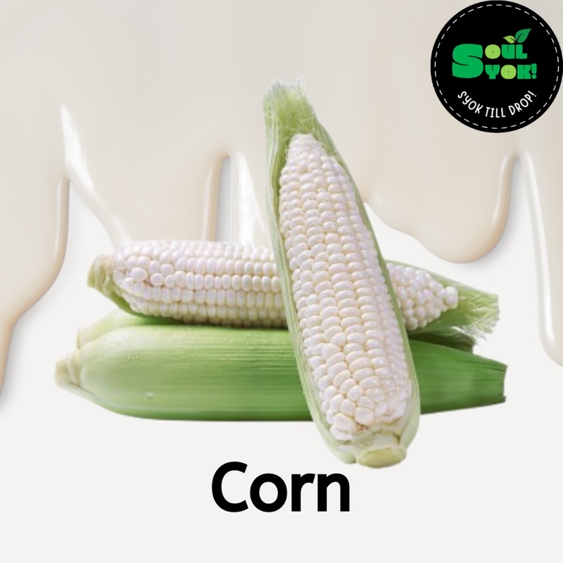 SoulSyok White Corn / Jagung Putih / Jagung Susu / Jagung Cameron 3pcs ...