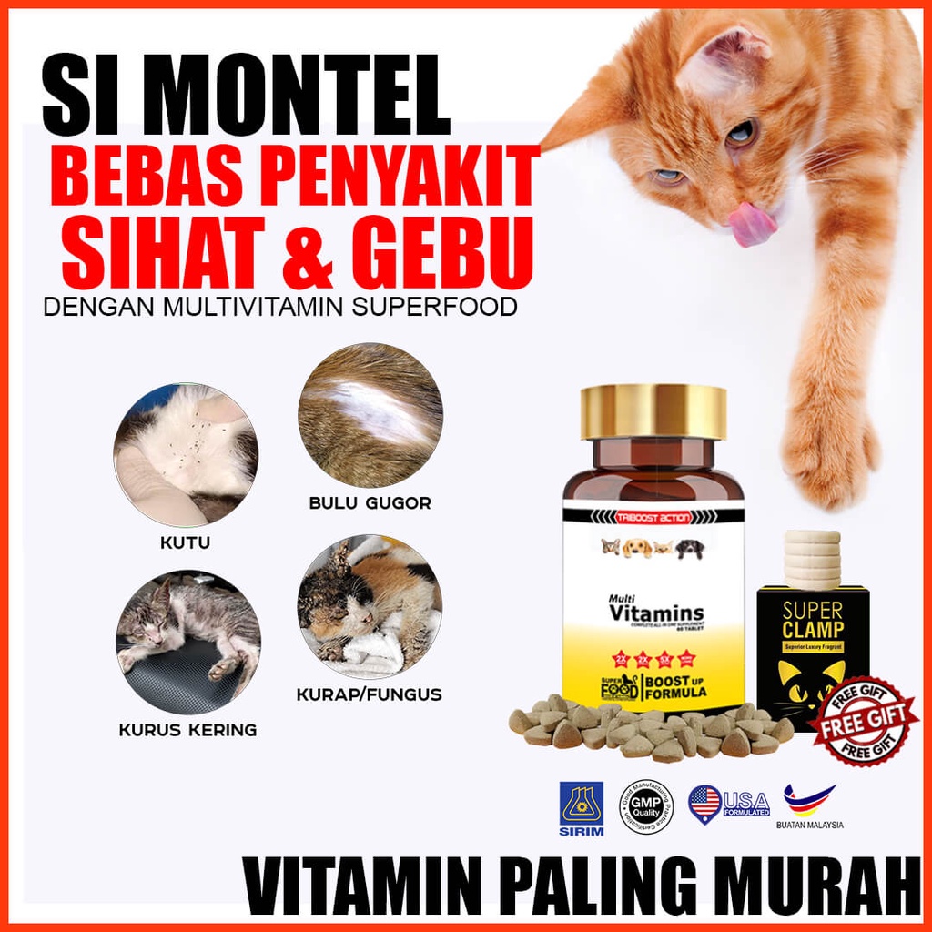 [READY STOCK] Ubat Kucing Sesuai Untuk Kurap, Kudis, Sporo, Cacing ...