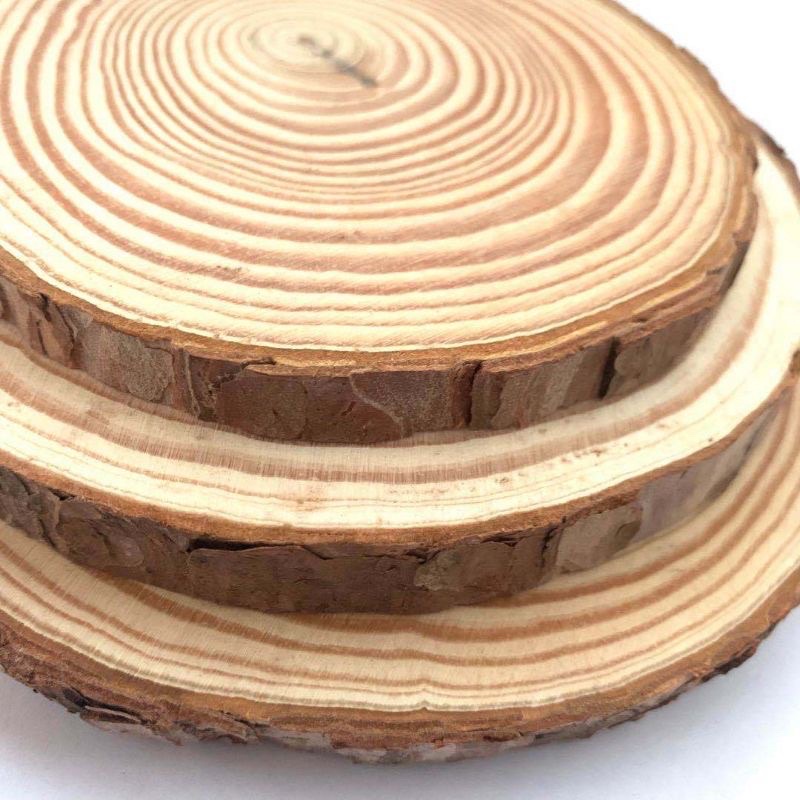 Natural Pine Round Unfinished Wood Slices Circles With Tree Bark Log ...