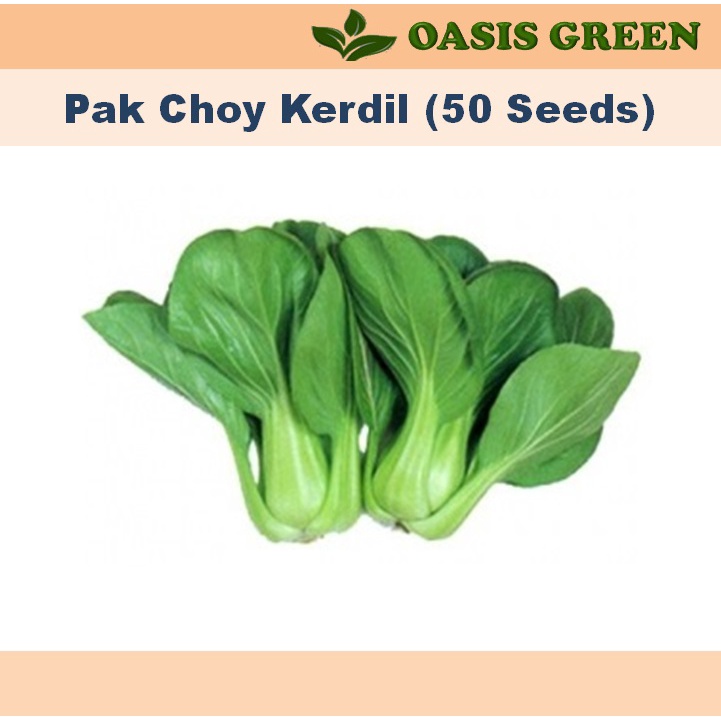 Biji Benih / Vegetable Seed /FLOWER SEEDS /SAYUR/BUNGA/BUAH BENDI ...