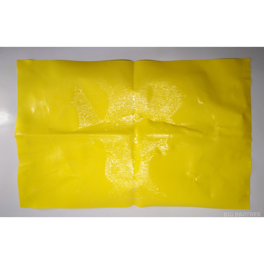 4pcs Pest Control Non Poisonous Odourless Insects Lizard Fruit Flies ...