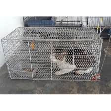 Perangkap Sangkar Tikus Musang Tupai Kucing Cat Trap Cage mouse Weasel ...
