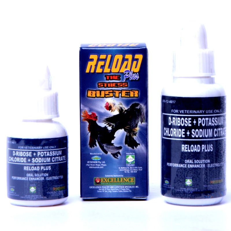 Ubat Ayam Sabong : Reload Plus The Stress Buster (5ml) | Shopee Malaysia