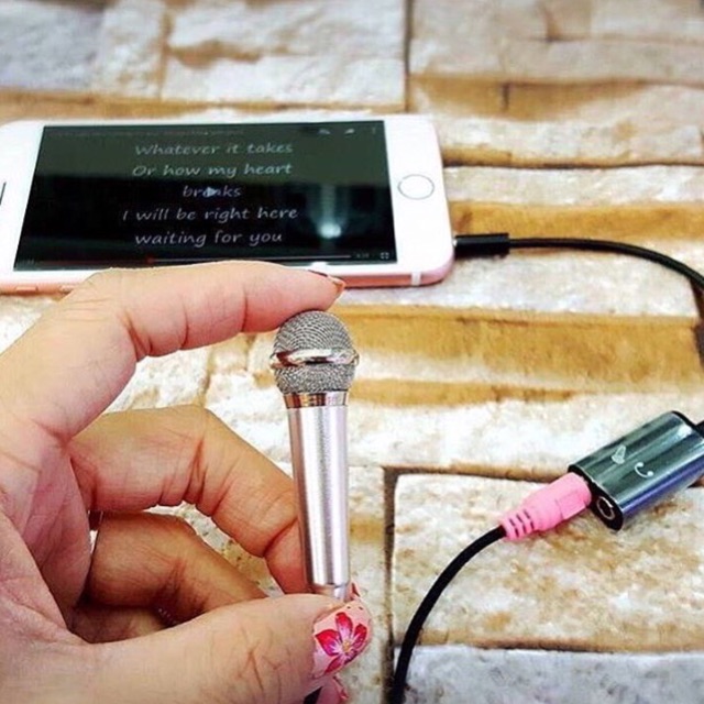 Mini Microphone | Shopee Malaysia
