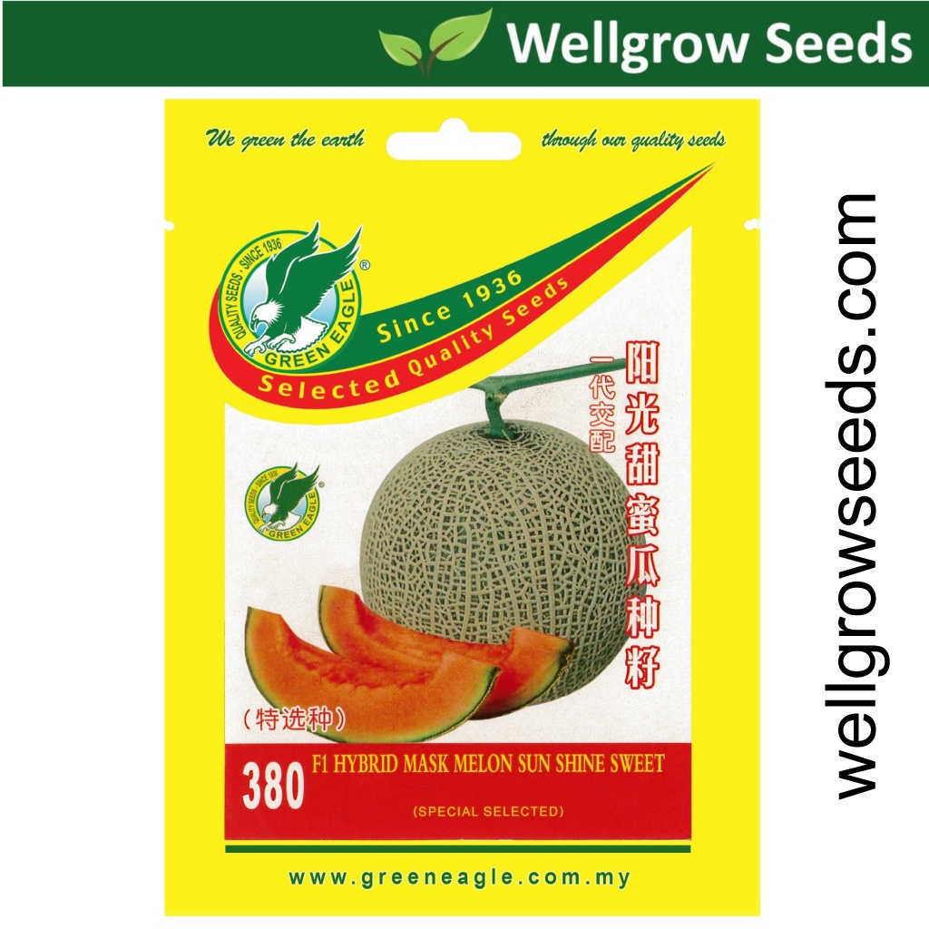 Cantaloupe Rock Melon Sunshine Sweet (8 seeds) 阳光甜蜜瓜 Green Eagle GE380 ...