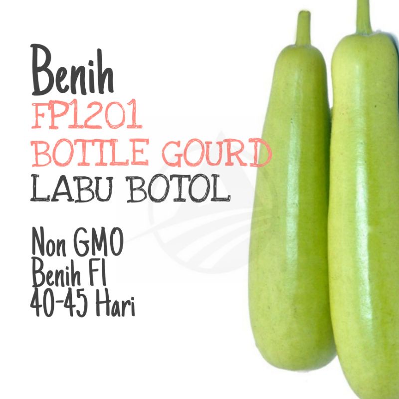 BENIH Labu Botol | Bottle Gourd Seeds | Shopee Malaysia