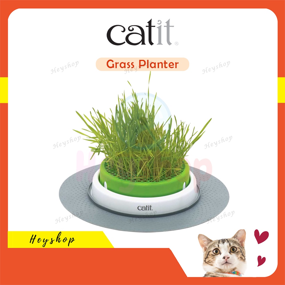 Catit Senses 2.0 Grass Planter w/ Seed & Vermiculite Rumput Kucing Cat ...