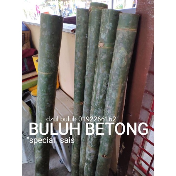 Buluh betong @ Buluh Besar (4 kaki = 48 " inci) | Shopee Malaysia