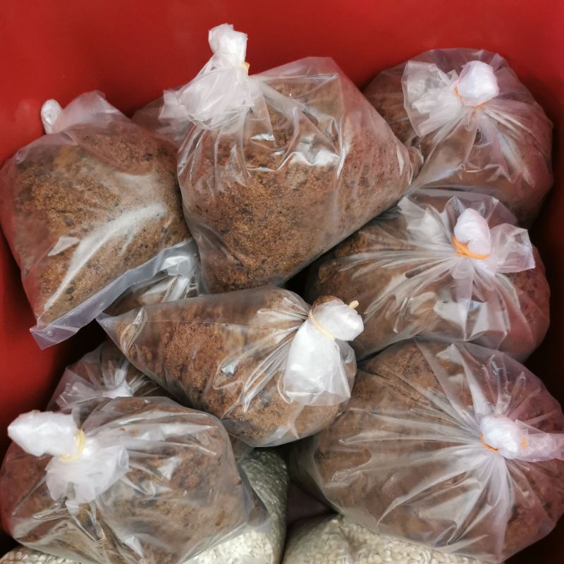 Gula Merah 300g/600g/1kg 印度黄糖 | Shopee Malaysia