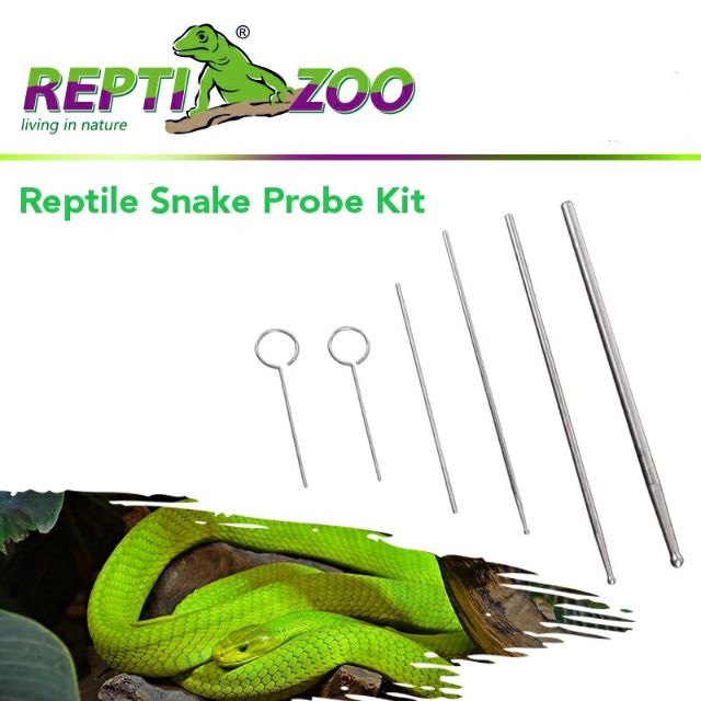 REPTI ZOO Snake Probe Kit 6 Pieces Round Ball Tip Professional Reptiles ...