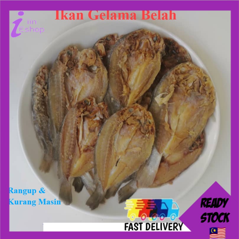 Ikan Masin Gelama Belah Sedap Fresh Segar Gred A Ikan Masin Ikan Kering ...