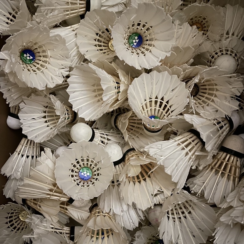 Used / Shuttlecock 25Pcs 50Pcs 100Pcs Training Shuttle 二手训练羽球 Bulu ...