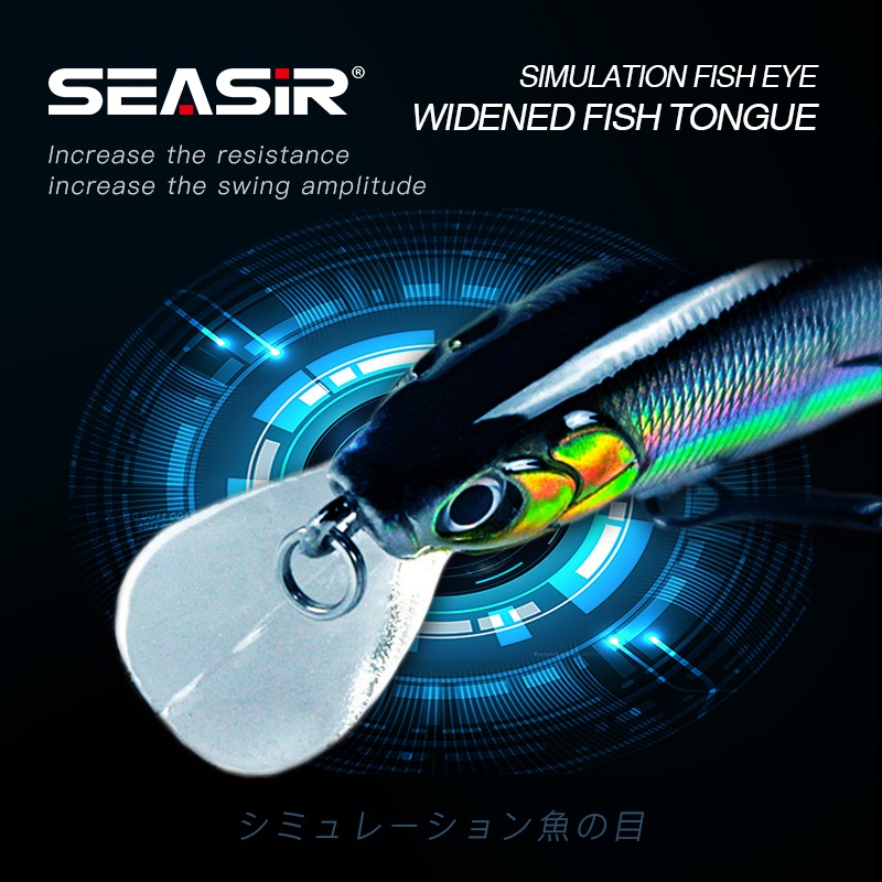 SEASIR Minnow Baubles Fishing Lure Meteor Long Throw Bait Sinking ...