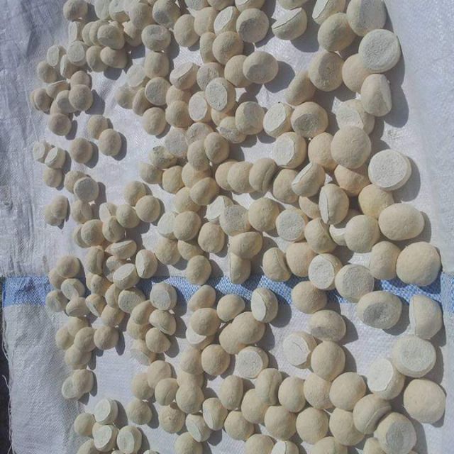 100 biji Ragi manis tapai warisan | Shopee Malaysia