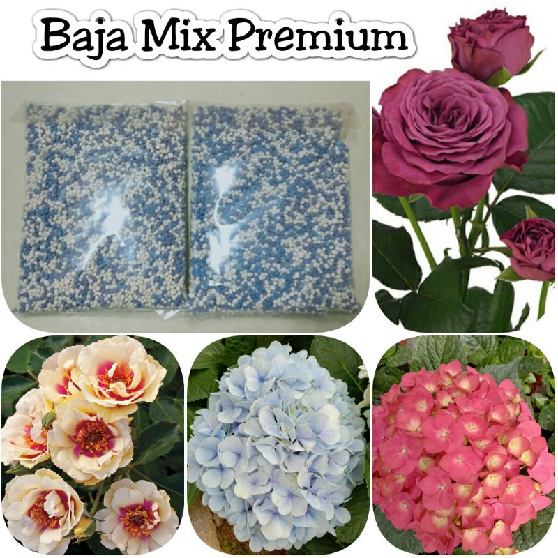 Baja Mix Premium/Baja Paksa Subur/Baja Paksa Bunga | Shopee Malaysia