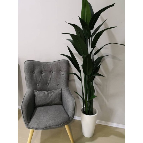 🔥🔥🔥Hot item‼️‼️Skybird premium + pasu fiber putih🔥🔥🔥 | Shopee Malaysia