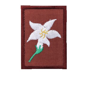 Aksesori Uniform Sekolah Pandu Puteri Lencana Patrol Bunga Kesidang ...