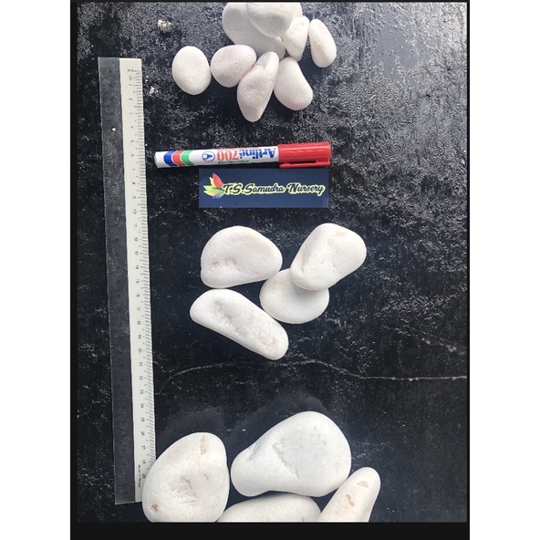 1KG BATU PUTIH LOCAL(WHITE STONE) | Shopee Malaysia