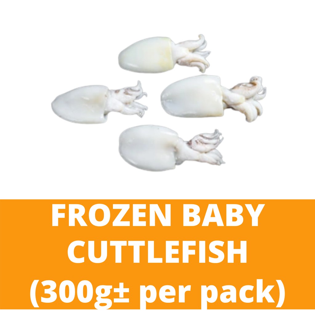 Frozen Baby Cuttlefish (300g+/-) 小墨斗 Sung Tao Frozen Seafood Shellfish ...