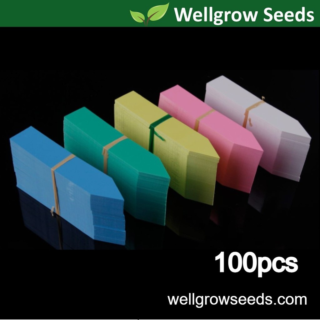 TL10 Tray Label (100pcs) 一字花卉标签 Tag Pokok /Bunga | Shopee Malaysia