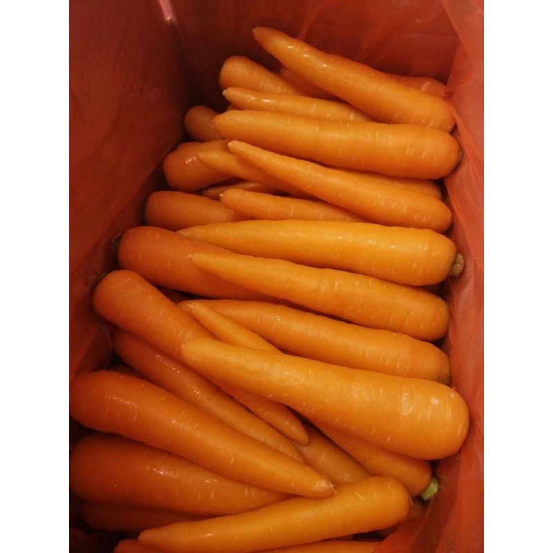 Fresh Carrot 4.5KG Box Packing (Klang Valley ONLY) | Shopee Malaysia