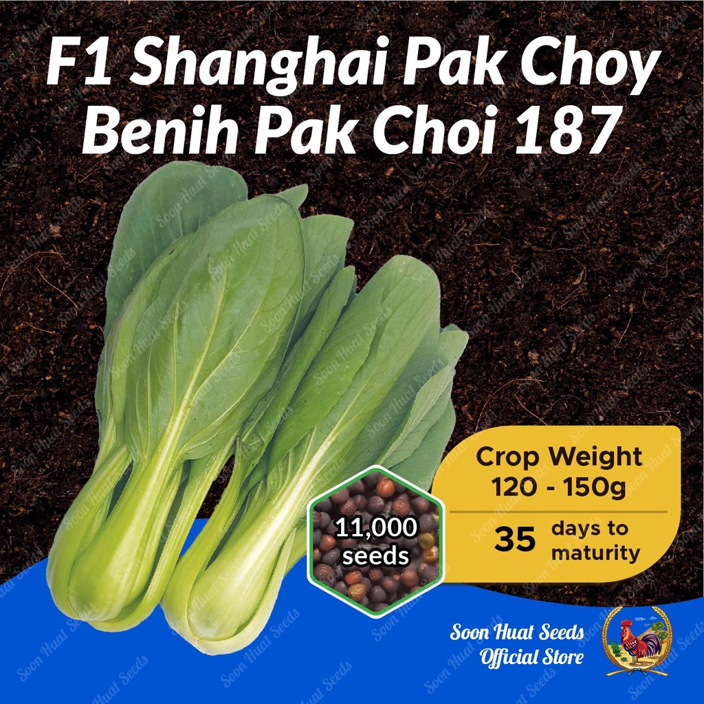 Benih Pak Choy Shanghai Seeds F1 187 [20g/100g] 上海小白菜種子 Soon Huat Seed | Shopee Malaysia