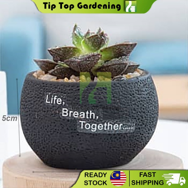 PORCELAIN [ LIFE BREATH TOGETHER ] CACTUS SUCCULENT FLOWER POT PASU ...