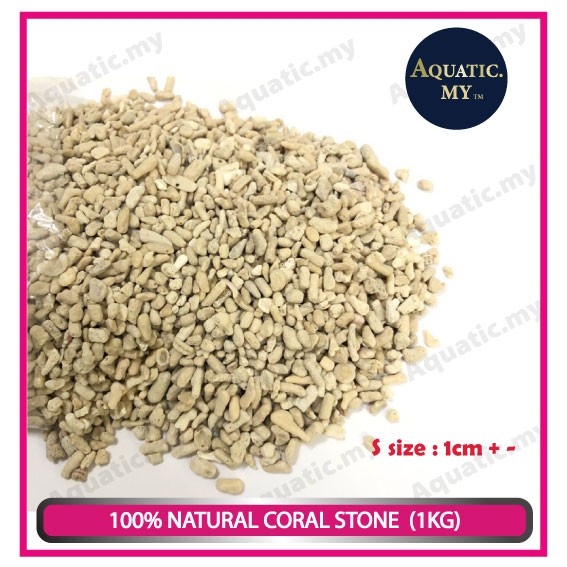Aquarium Coral Stone Filter Media (Small) | Shopee Malaysia