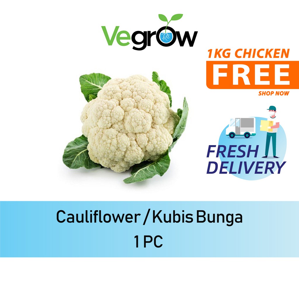 🔥FRESH 🔥Cauliflower / Kubis Bunga 1 PC | Shopee Malaysia