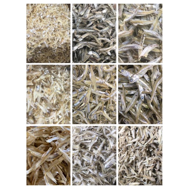 ikan bilis tanjung dawai | bilis mata biru | bilis halus & pelbagai ...