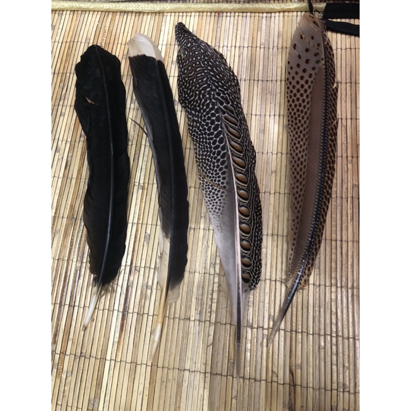 Original ruai bird feathers | Shopee Malaysia