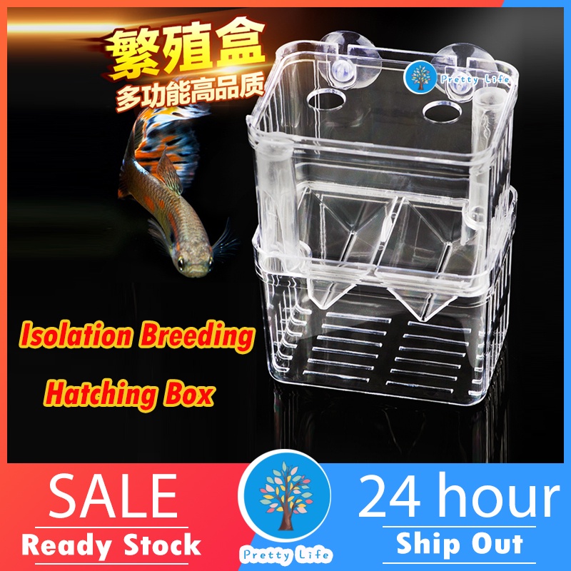 🐟READY STOCK🐟 Aquarium Double Layer Fish Isolation Breeding Hatching ...