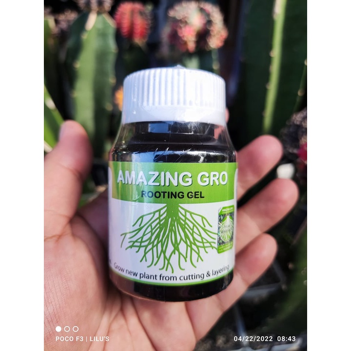 Amazing Gro Rooting Gel hormone 60ml | Shopee Malaysia