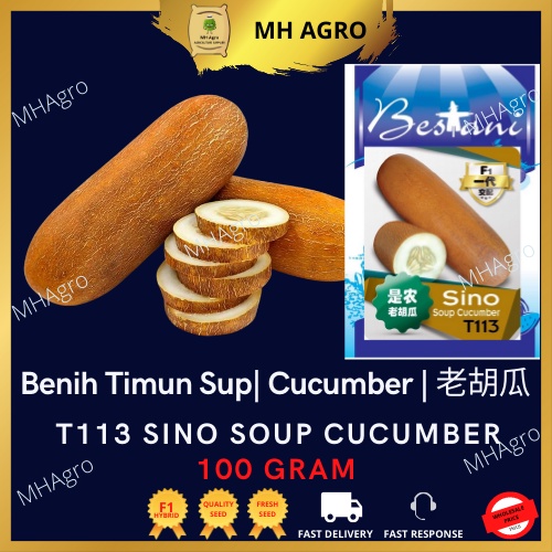 BESTANI T113 SINO Old Soup Cucumber Seed 100Gram/3500seed 老黄瓜种子 Benih ...