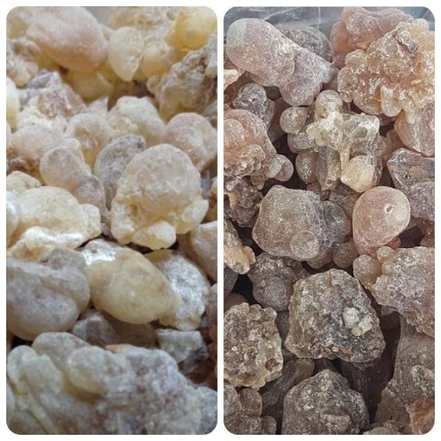 100g Frankincense Luban Sacra Oman Hojari Raw Incense Bukhoor Kemenyan ...