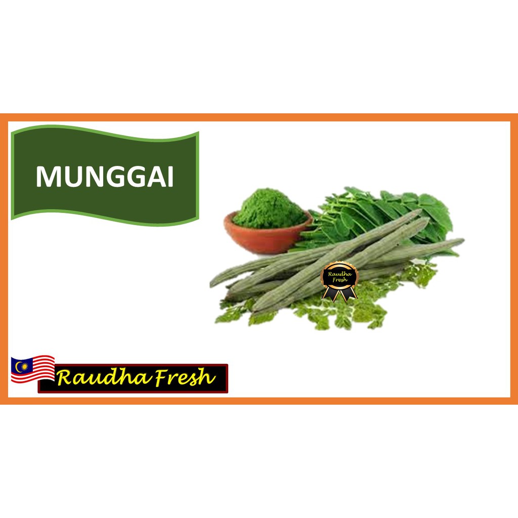 Batang Munggai (1 Pek = 10kg) | Shopee Malaysia
