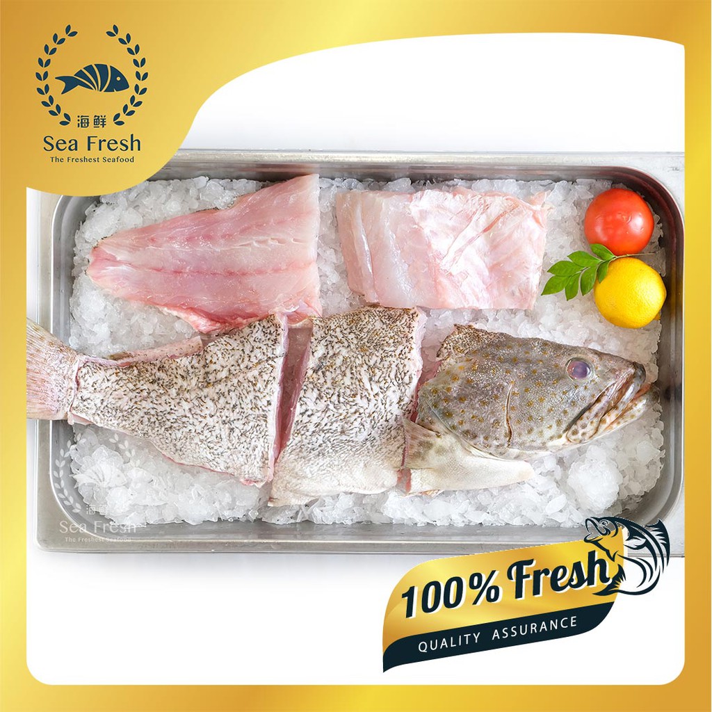 Ikan Kerapu (seekor potong isi ) | Grouper( Whole Fish Cut Fillet ...