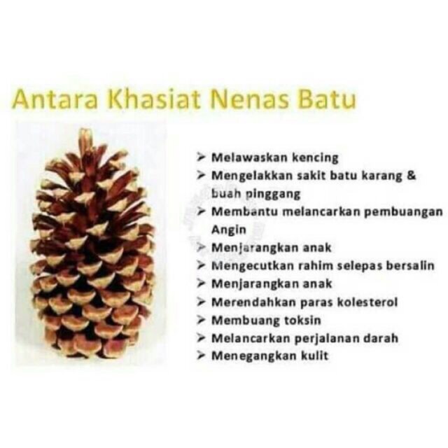 NENAS BATU VIRAL 💯 ORIGINAL | Shopee Malaysia