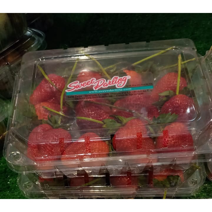 Strawberry Fruit USA SWEET DARLING JUMBO | 454gram | Shopee Malaysia