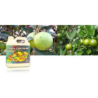 Agroharta,Kuda Merah, Agro Calcium Foliar Fertilizer 4Liter. | Shopee ...