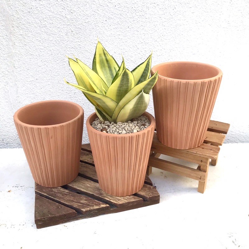 Special Aesthetic Patterned Terracotta Pot for succulents cactus and ...