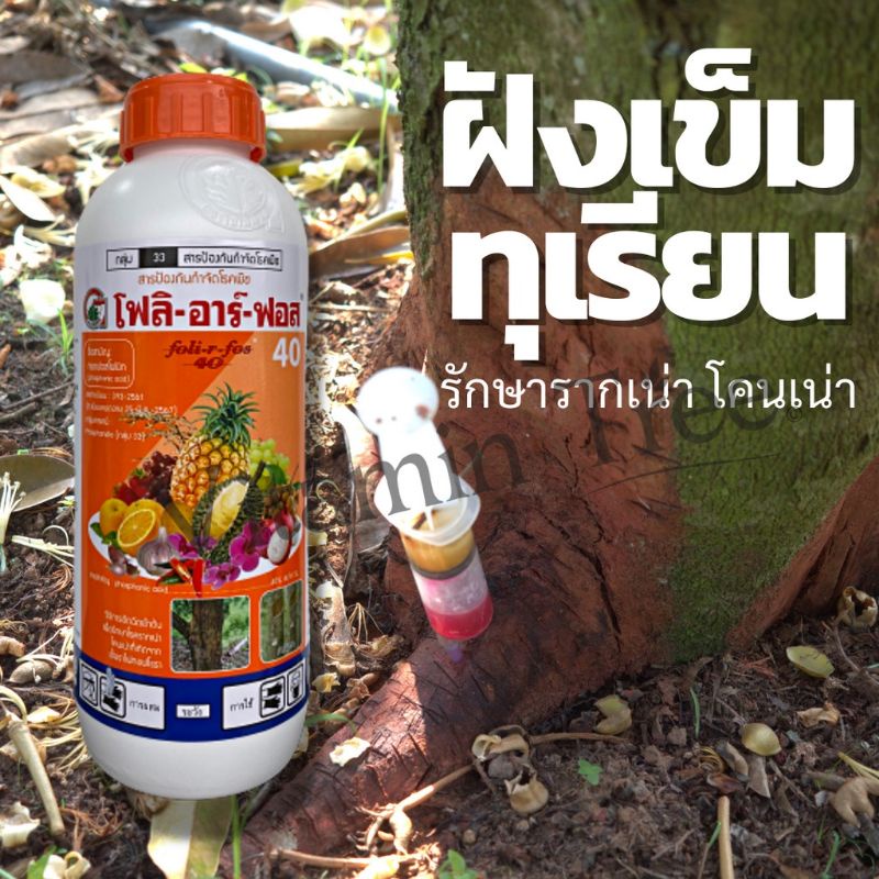 Foliarphos 40 untuk REPUT AKAR | Shopee Malaysia