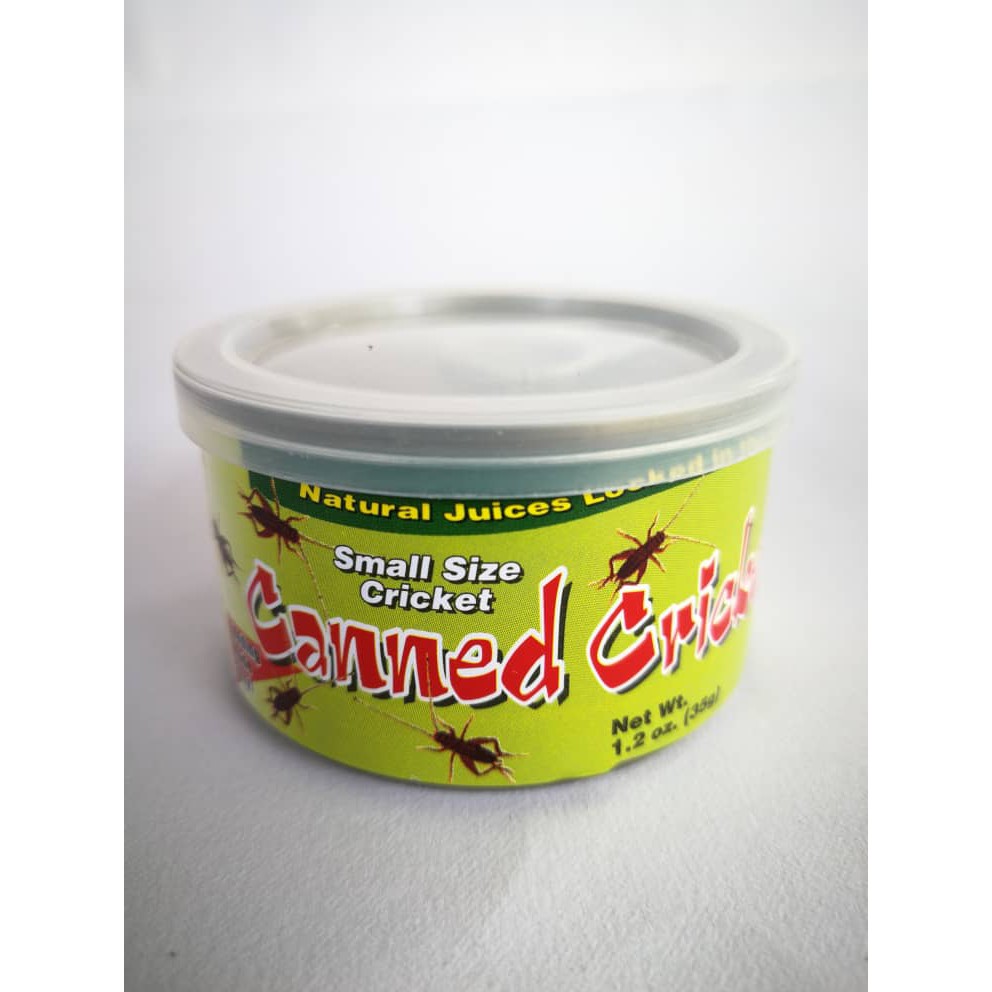 Canned Crickets Farm Raised Aquarium Fish Lizard Snake Bird Frog Turtle ...