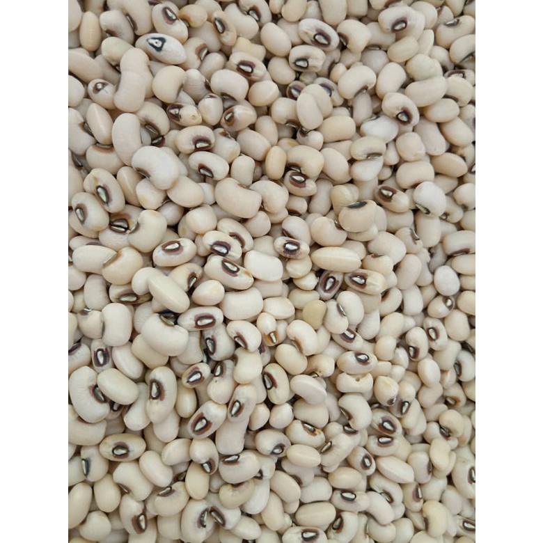 KACANG TUPAT PUTIH(TATDAPERU) | Shopee Malaysia