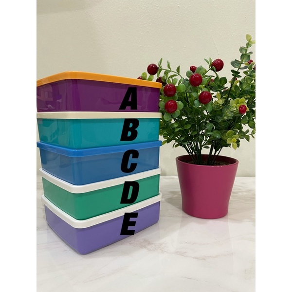 Tupperware Large Square Away Container Storage [620mL] | Shopee Malaysia