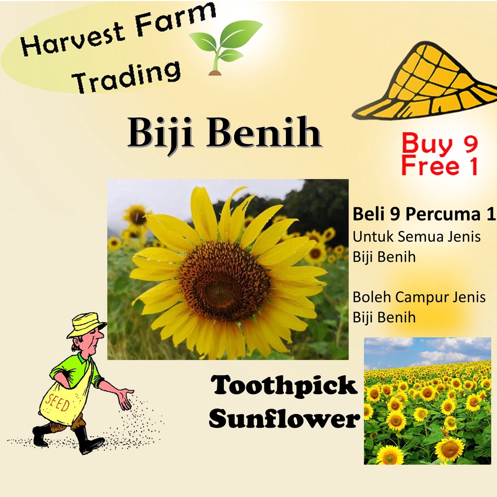 biji benih sayur sayuran pelbagai bunga vegetable seed bibit anak pokok ...