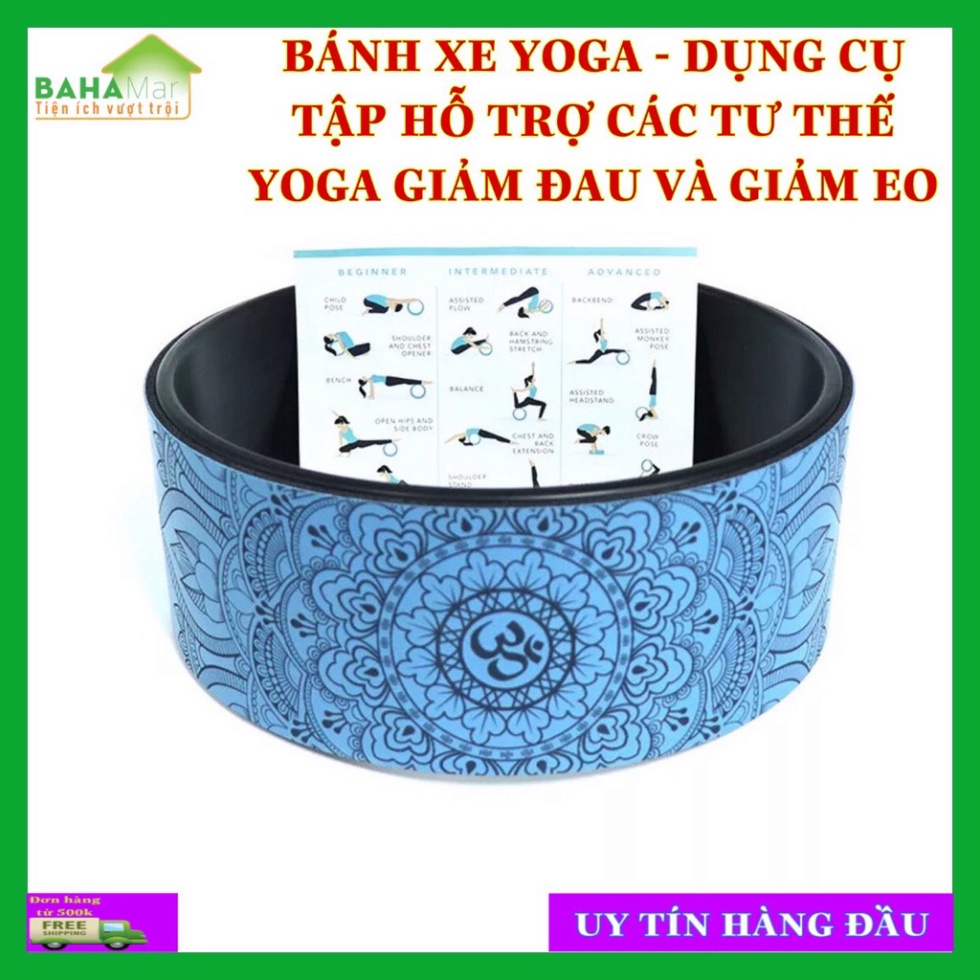 Yoga WHEELS - EXERCISE TOOLS TO SUPPORT Yoga POSITIONS TO REDUCE PAIN ...